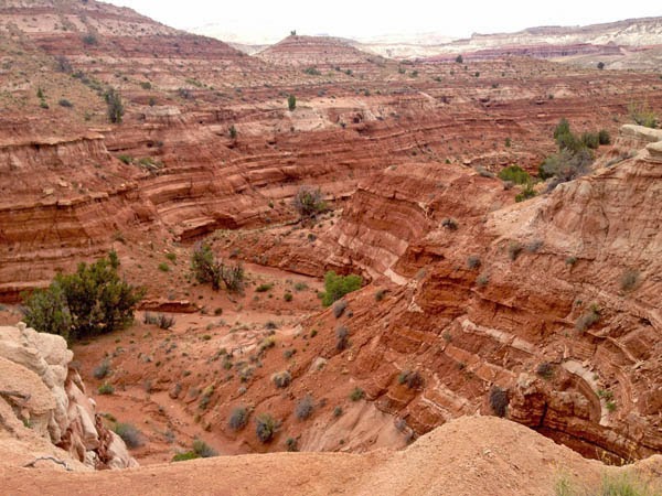 Camping and Horses : ANOTHER GREAT RIDE FROM PARIA RIVER RANCH