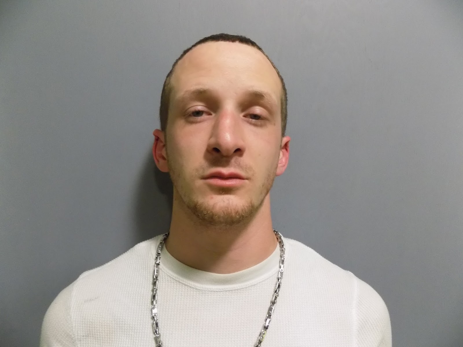 Springfield, VT Police Department: August 2017