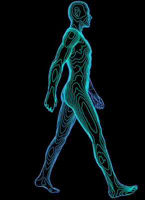 Felippe Toledo: Sistemas de avaliação da marcha humana