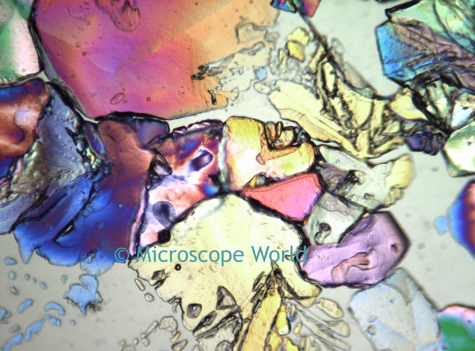 Microscope World Blog: March 2012