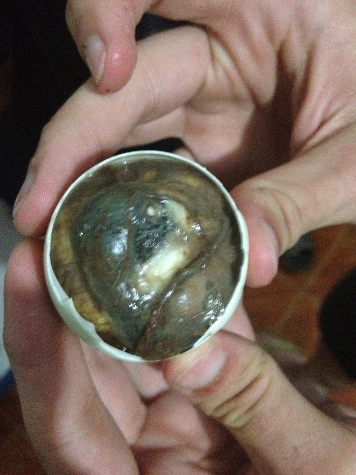 Brady on TREK: How to Eat Balut