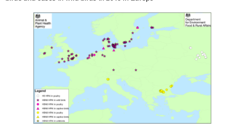 Avian Flu Diary: DEFRA: Higher Risk Areas For Avian Flu In England ...