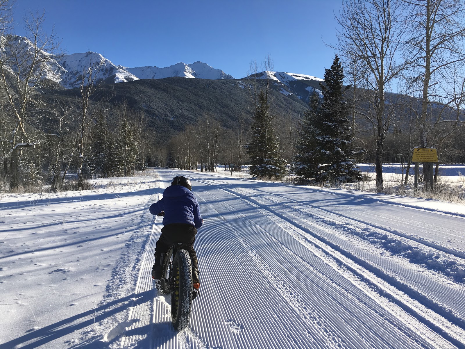 Family Adventures in the Canadian Rockies: Fat Biking at Kananaskis ...