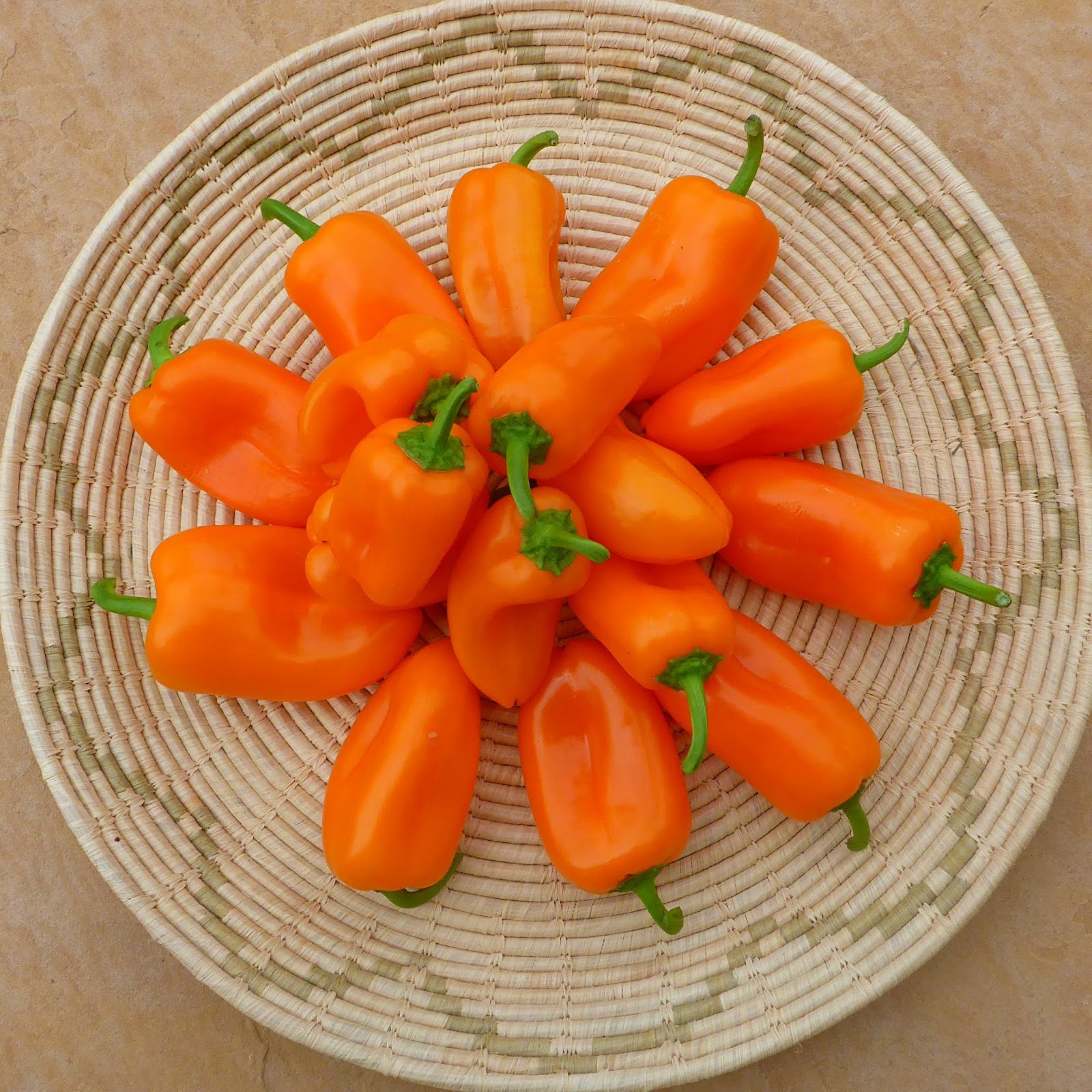 From Seed To Table: 2015 Pepper Review