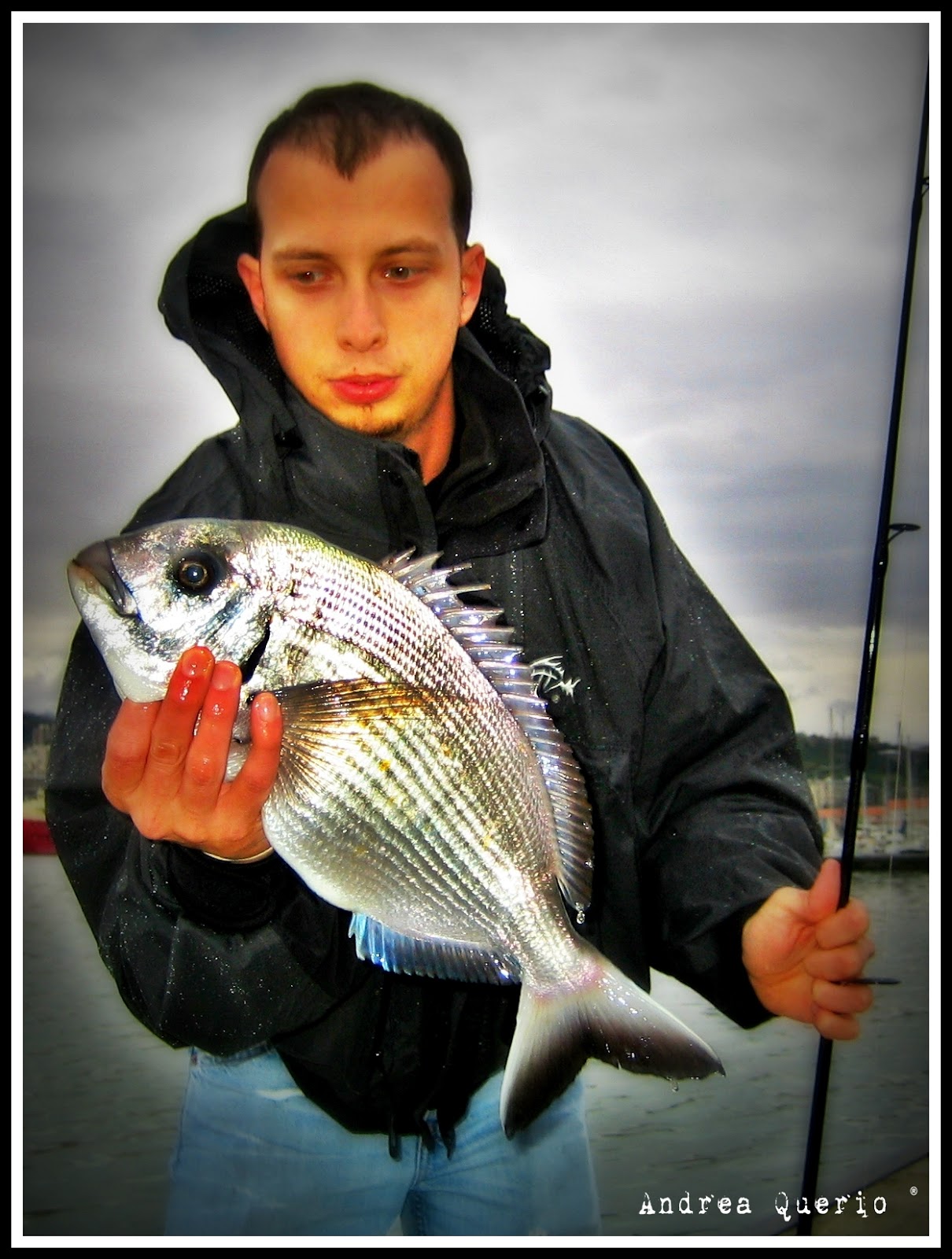 Spinning Fish: Saraghi Re del Rock