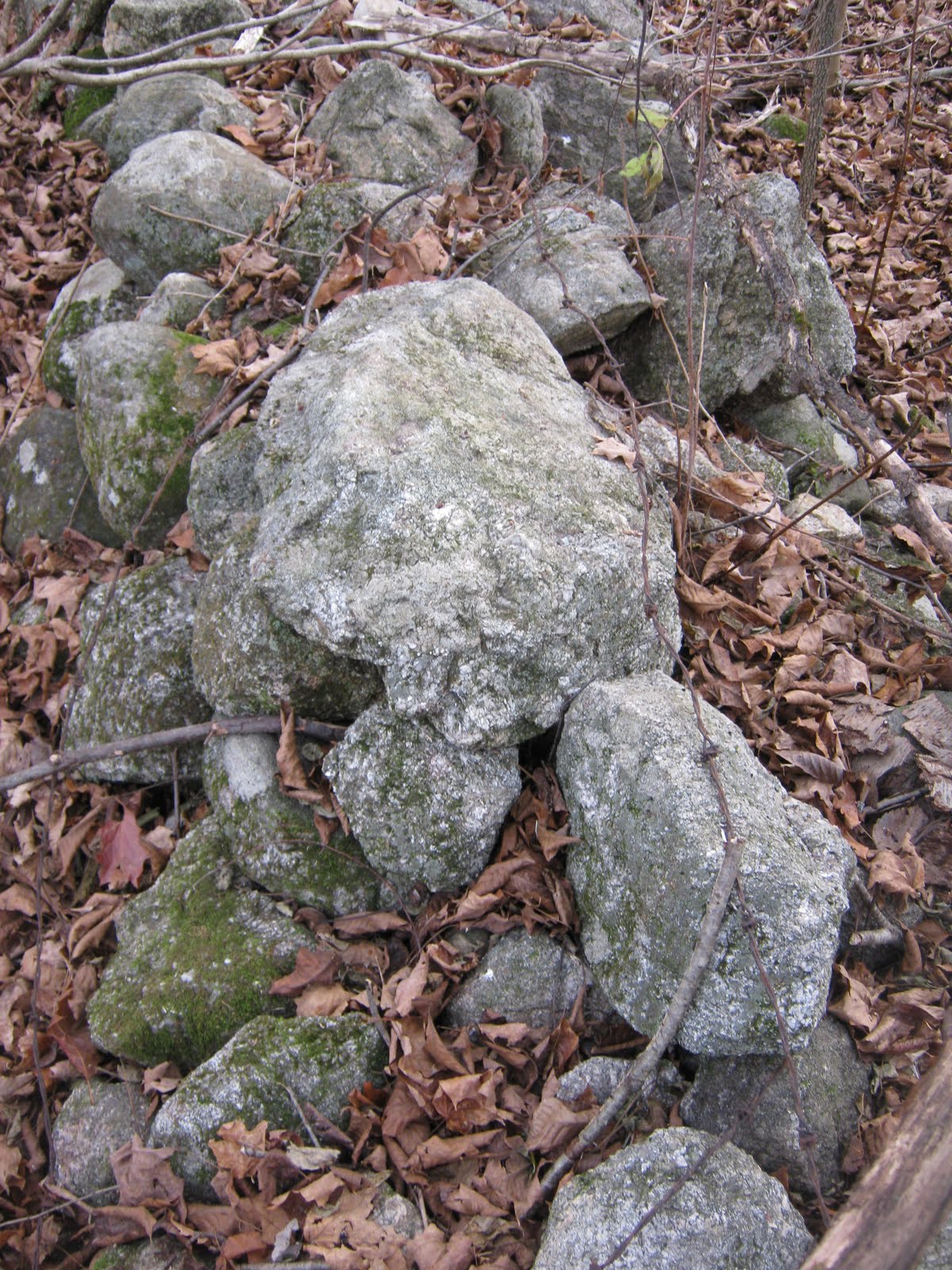 Waking Up on Turtle Island: Coming to Terms:Stone Definitions