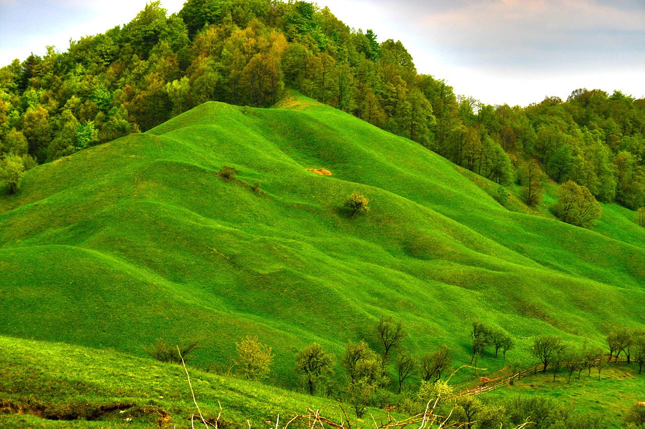 Fotografiile tale: Munti (9 foto)