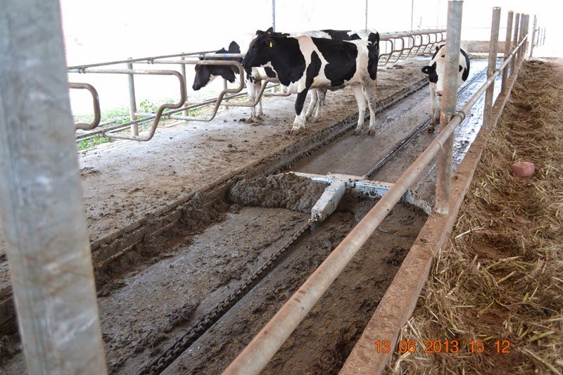 Dairy Farm Equipment - Manure Handling : November 2013