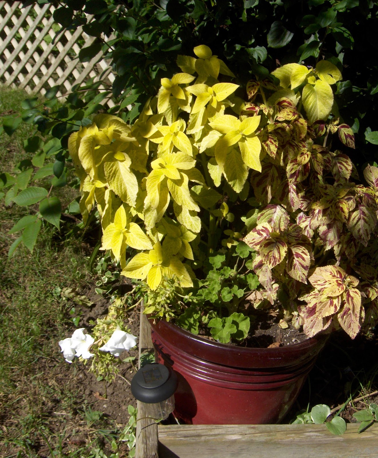 Somethings Old, New, Green, Redo!: Late Summer Midwest Garden