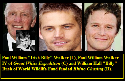 WINSIP CUSTER: TILIKUM ORCA AT SEA WORLD WRITES POEM DURING ORCA/PSYCIC ...