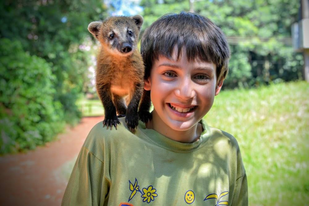 NOTÍCIAS DE ROLÂNDIA - PR.: O QUATI MAIS FAMOSO DO BRASIL É DE ROLÂNDIA