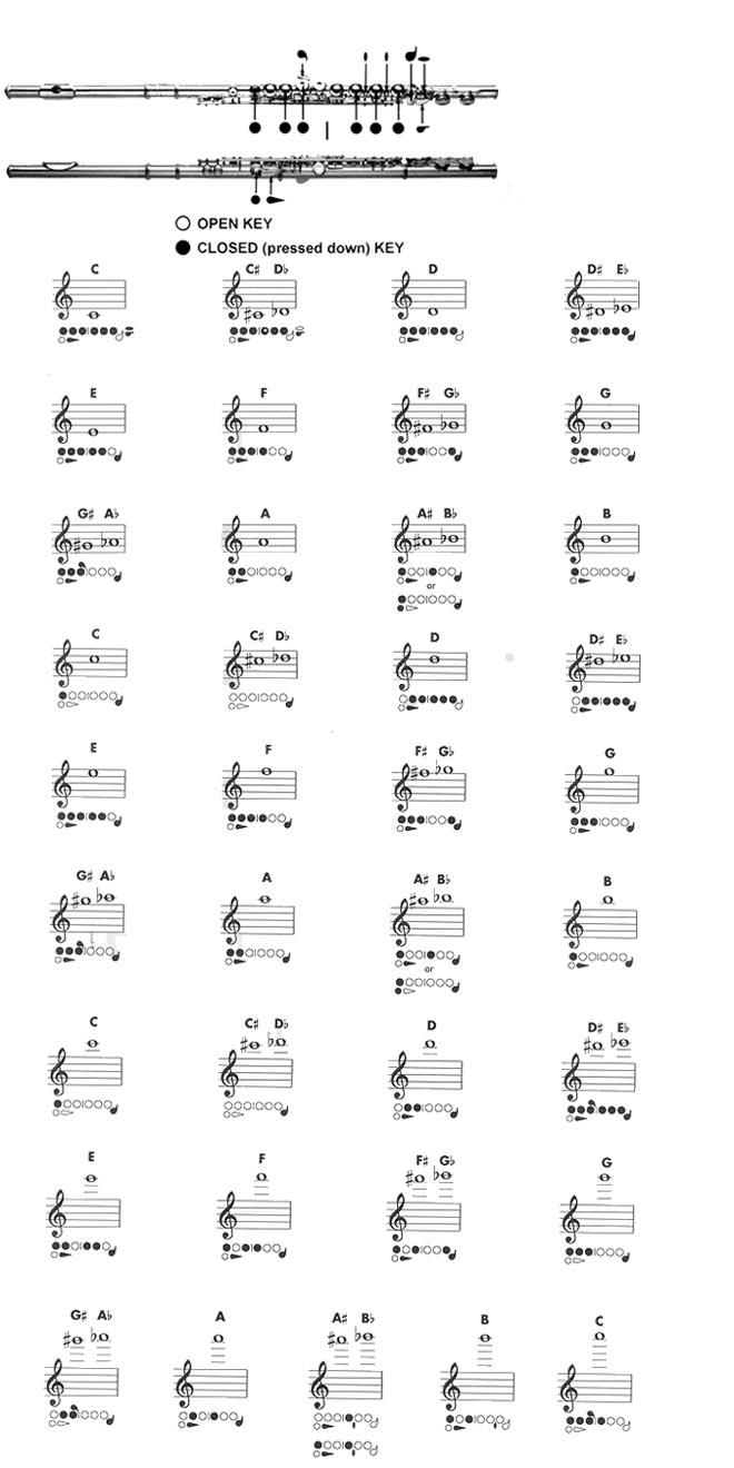 FLAUTA TRAVERSA: Digitación en la flauta traversa.