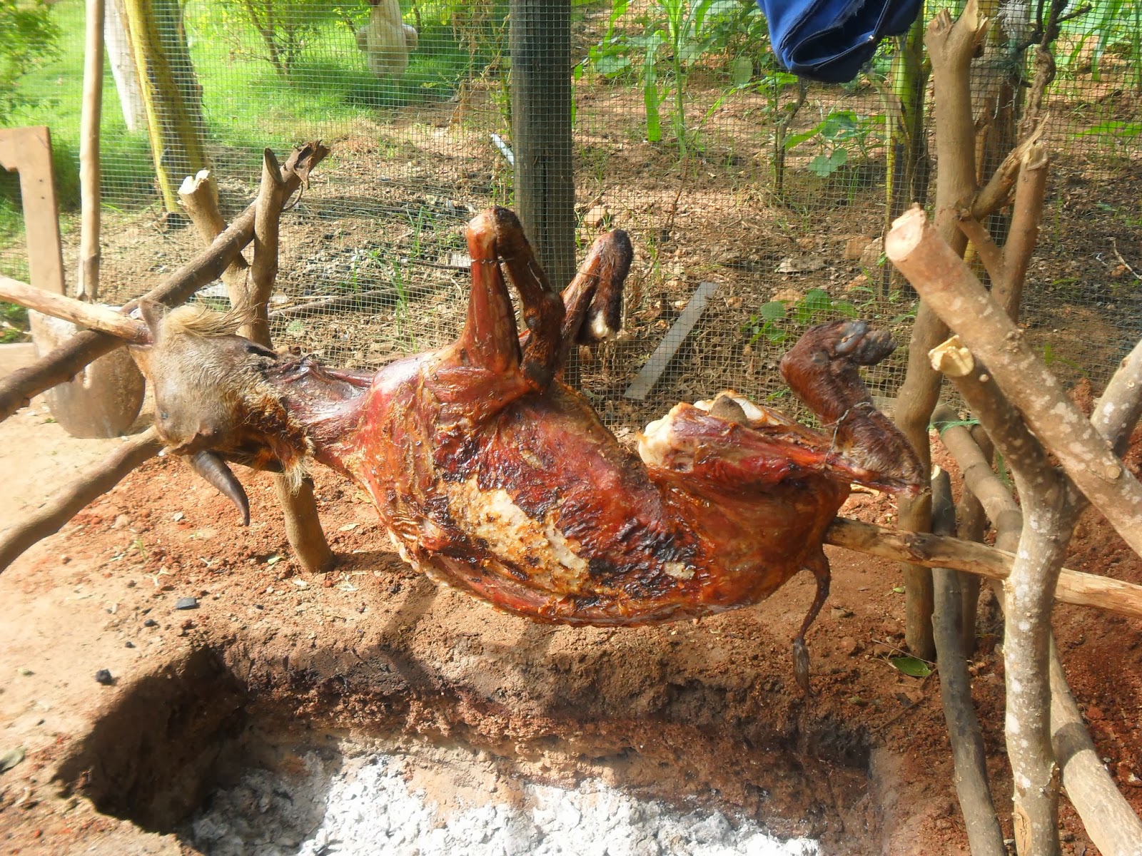 Banzi wa Moro: Ndafu, acha mchezo msee!