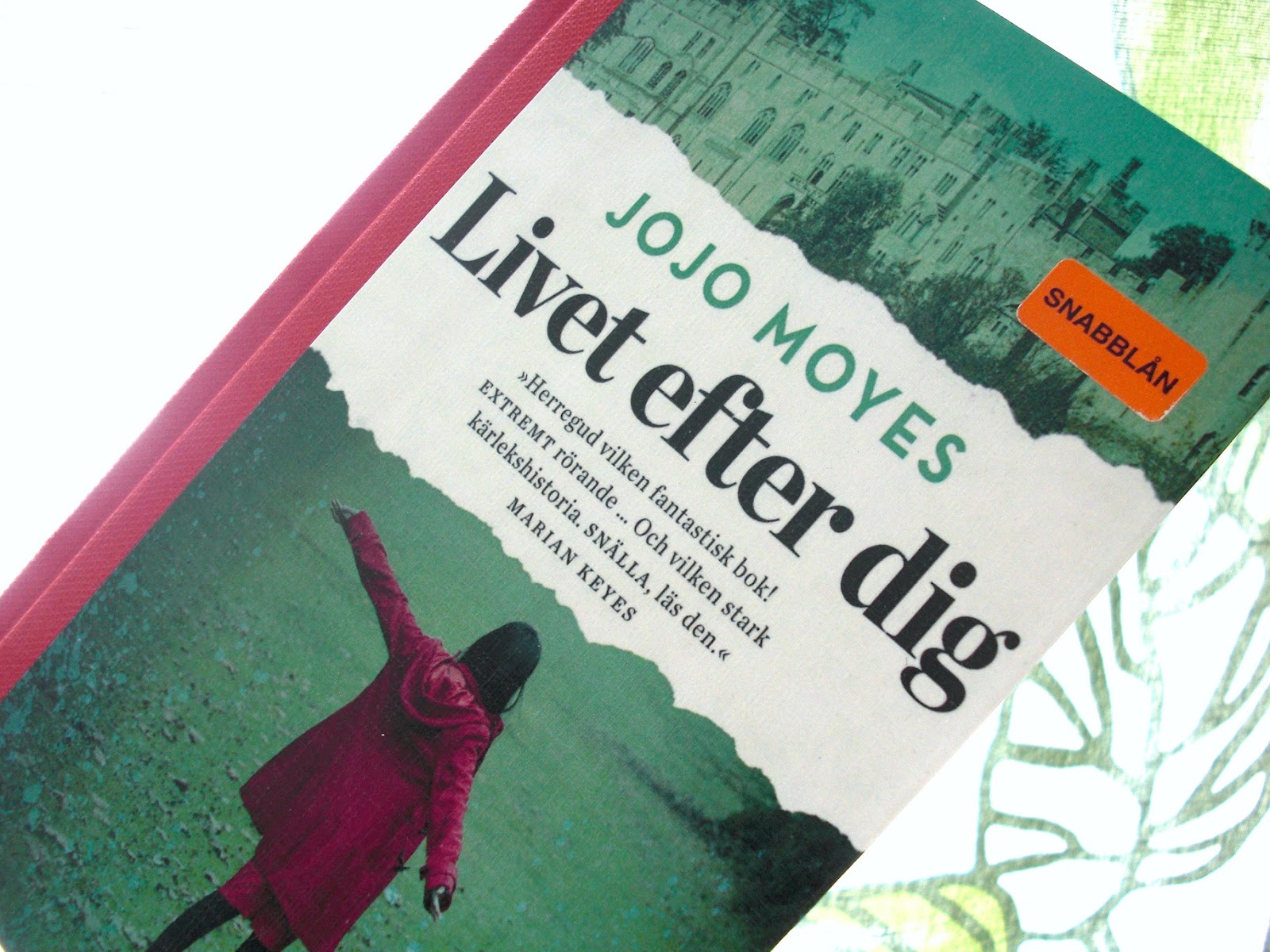 Nobelprisprojektet: Vad är ett liv? Ett bra liv?