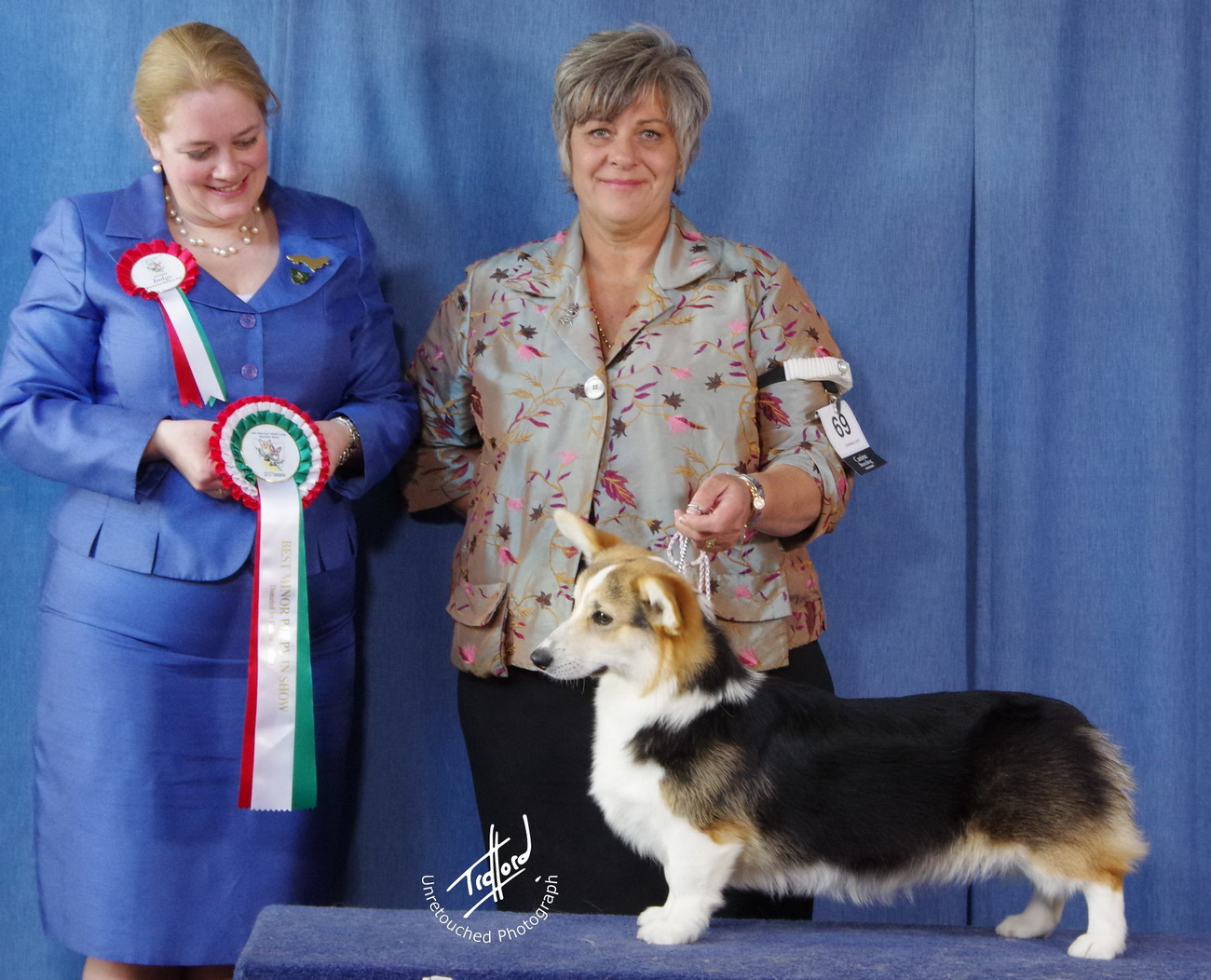 TraffordPhotos - Australian Dog Show Photos: 16th NATIONAL WELSH CORGI ...