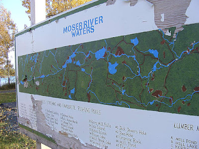The Eastern Shore Current: Moser River Seaside Park - Traveller's Rest ...