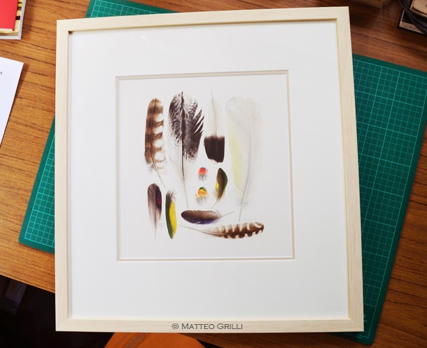 Matteo Grilli Wildlife Art: The Waterhouse Natural Science Art Prize