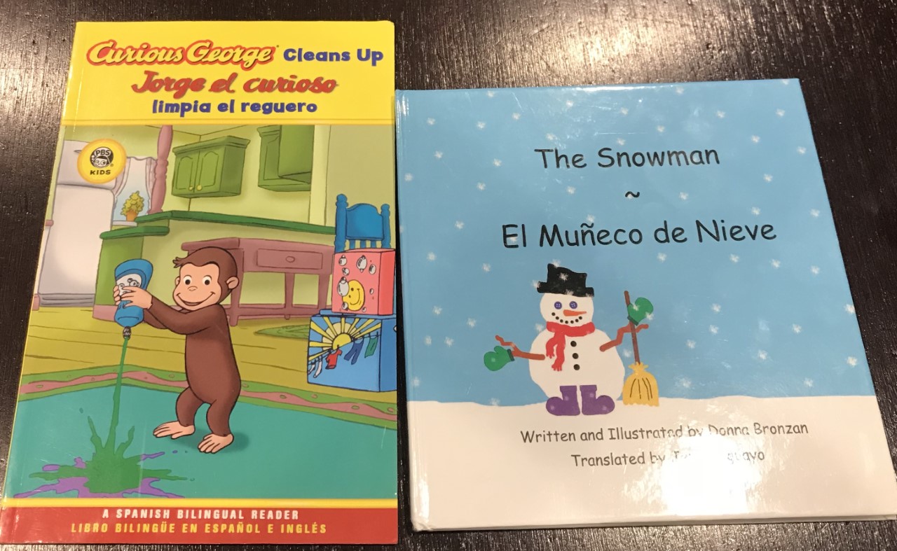 Building Lifelong Readers: The Well: David's Story by Mildred D. Taylor