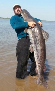 La Banda Deportiva PESCA: EL SURUBI GIGANTE DE EMPEDRADO