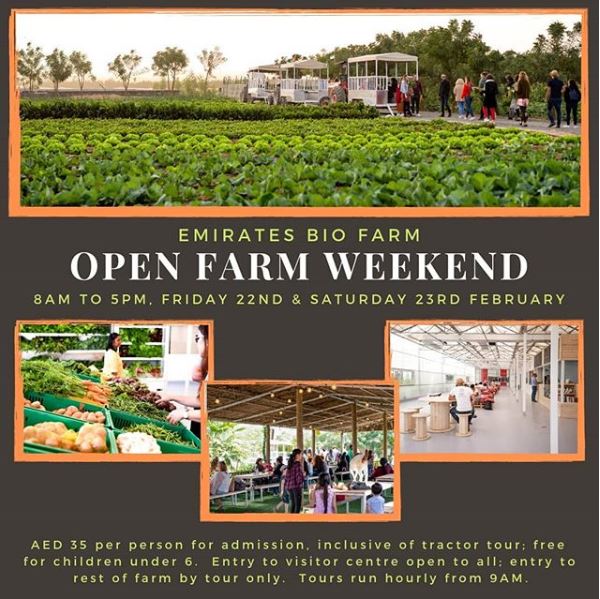 Emirates Bio Farm Experience