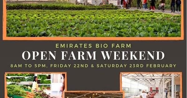 Emirates Bio Farm Experience