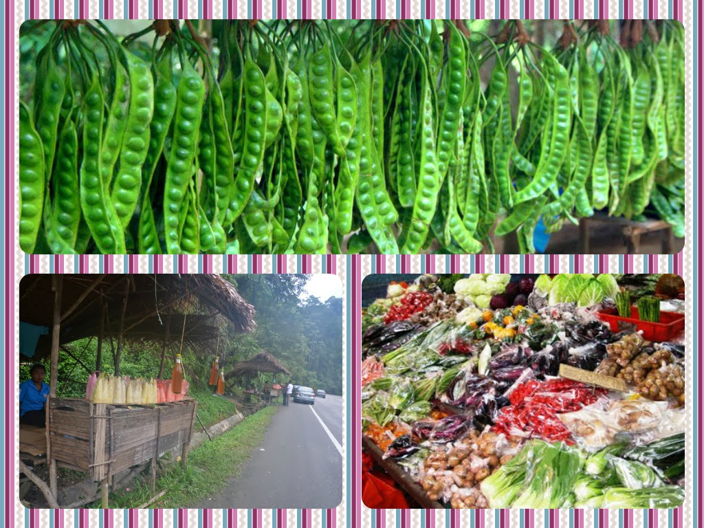 HaPpInEsS iS hOmEmAdE: Cameron Highlands 5 - food fair