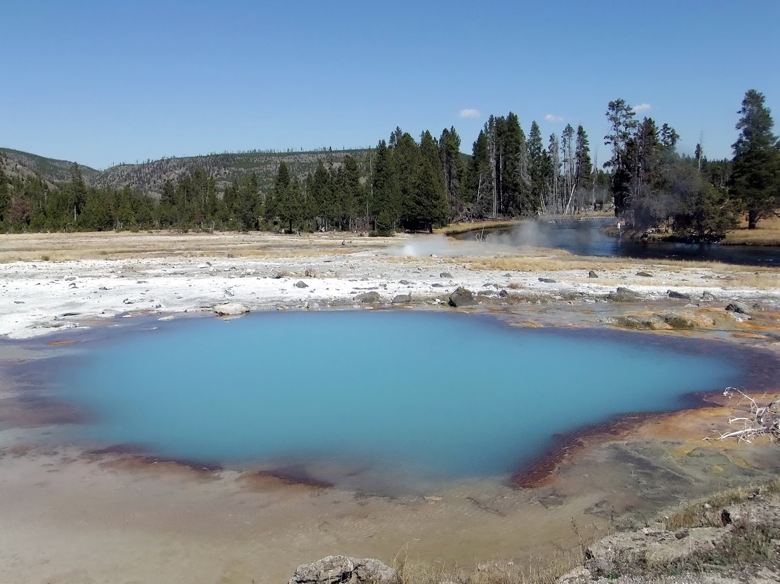 Focusing On Travel : Yellowstone: It's Cookin' in the Biscuit Basin