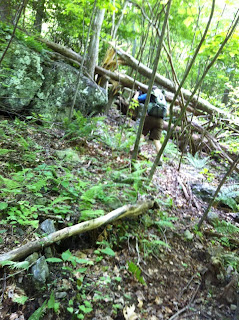 Hawksbill Cabin: Piney Branch - Piney Ridge Trail: a 75@75 Hike (part 1)