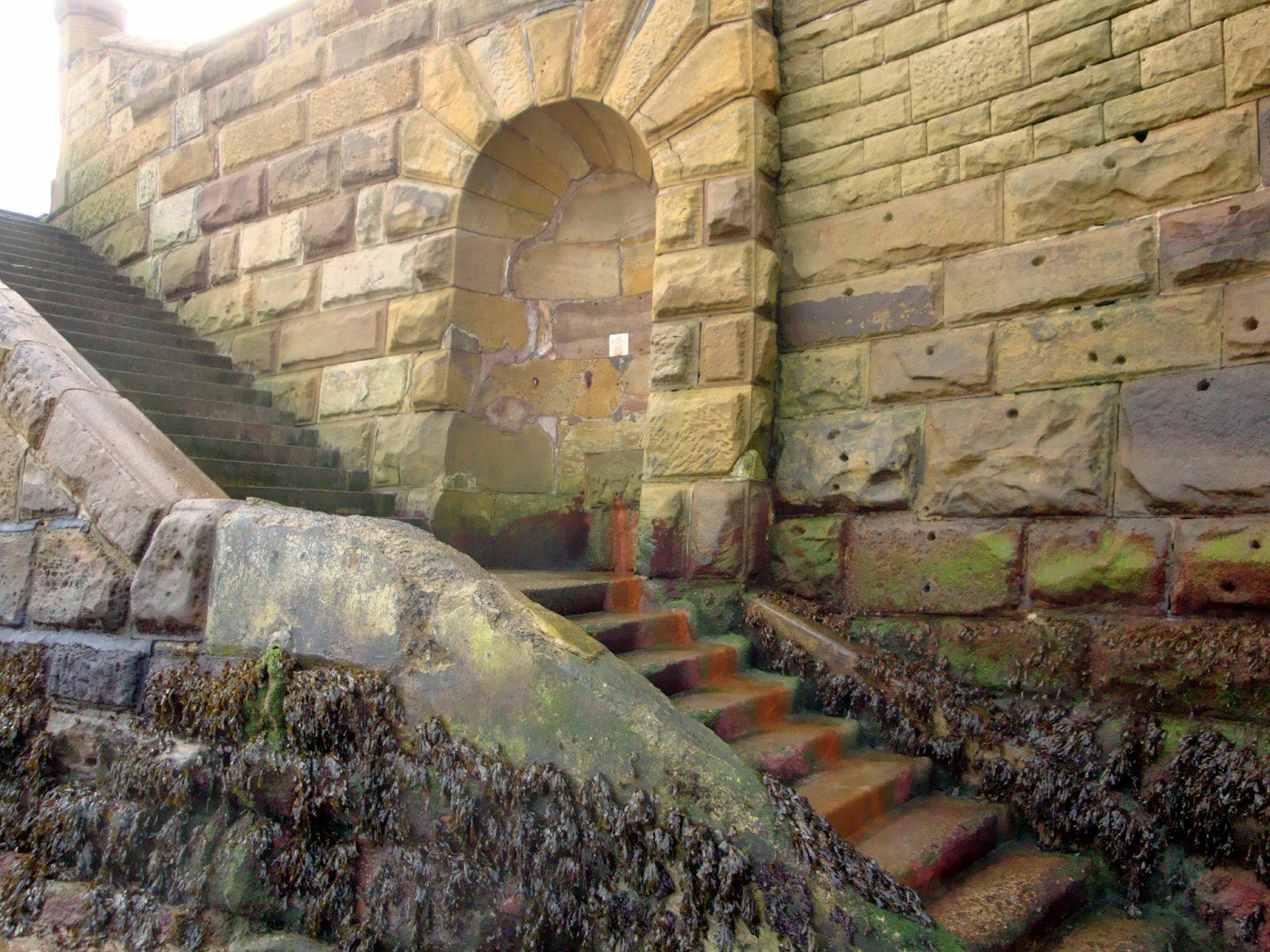 Roy's blog: SCARBOROUGH 1