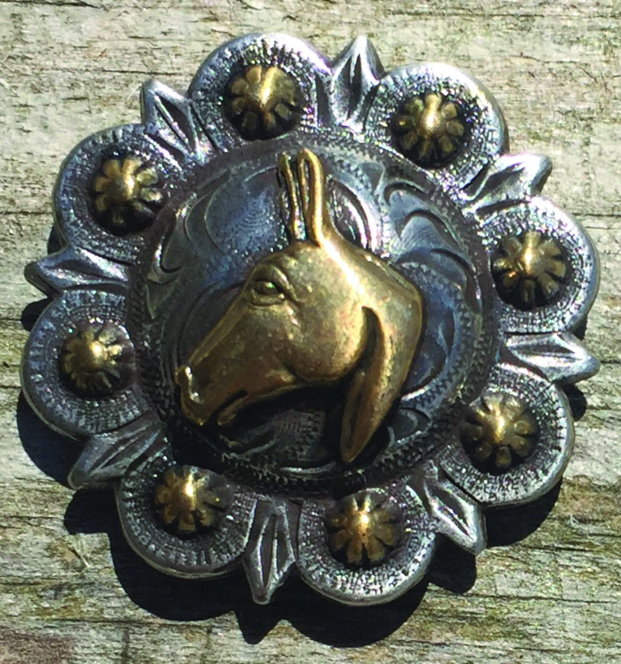Silver & Brass Mule Head Conchos Available in all silver or silver with ...