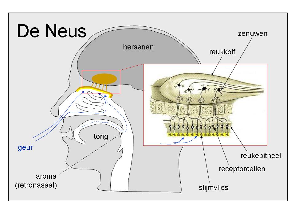 Genieten (tussen glas en pint): oktober 2012