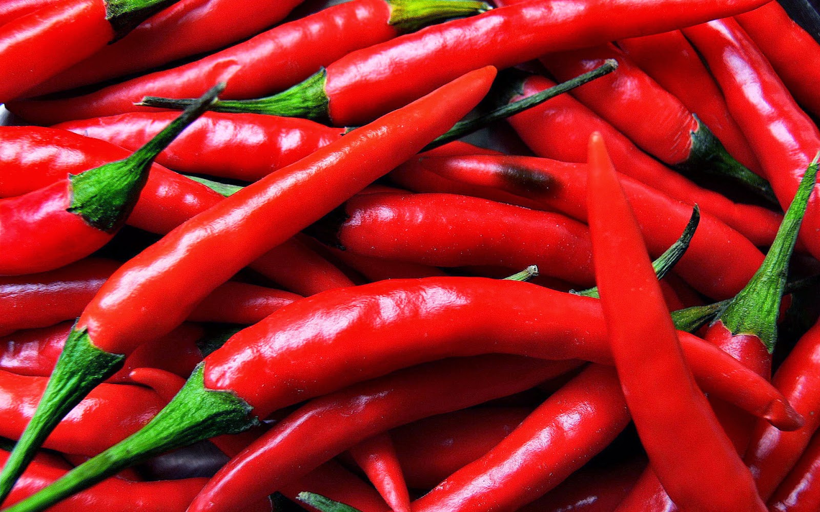 Red Chillies Wallpaper | Wallpaper HD | Desain | Exterior | Interior