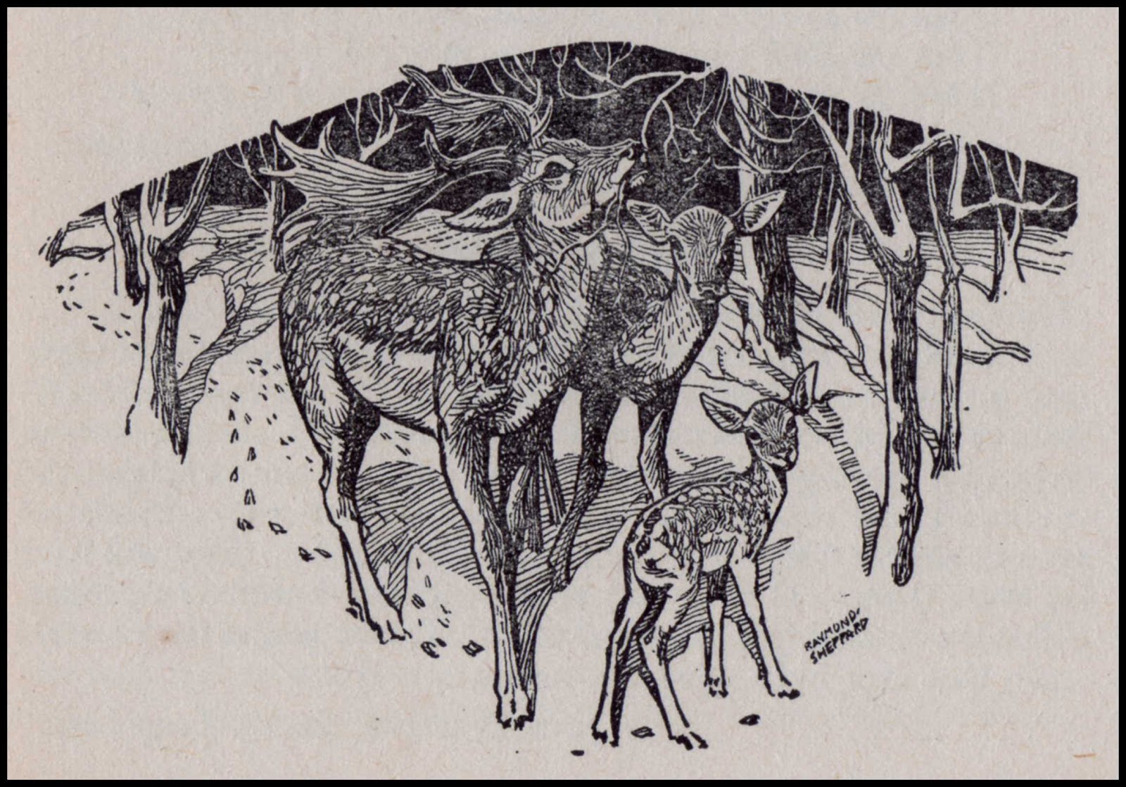 Raymond Sheppard - Alchetron, The Free Social Encyclopedia