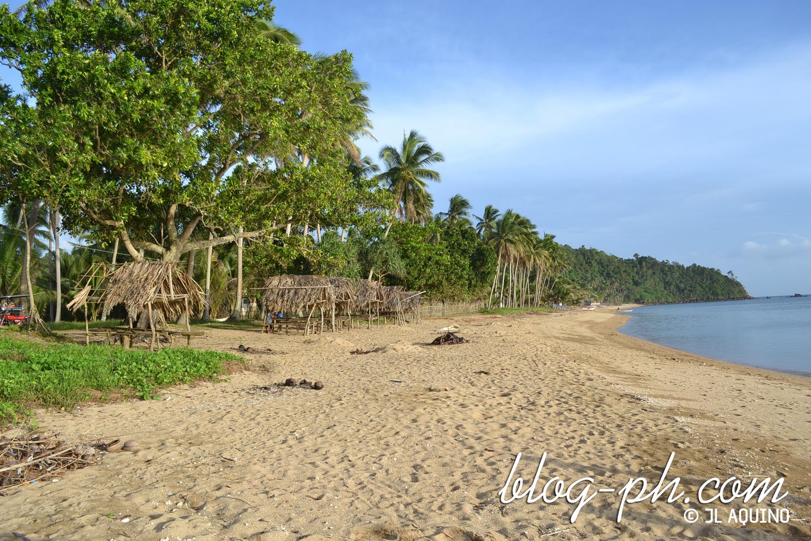 BonPen Festival 2011 at Pitogo, Quezon | BLOG-PH.com — Top Philippines ...