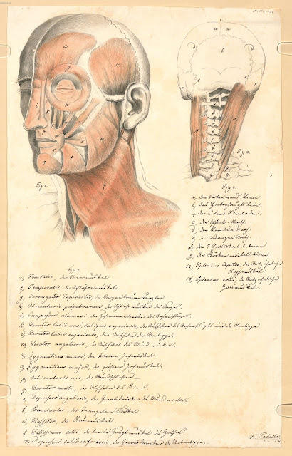 facsimilium: May 2012