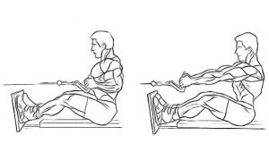 J's Big Gym: SEATED PULLEY ROWS