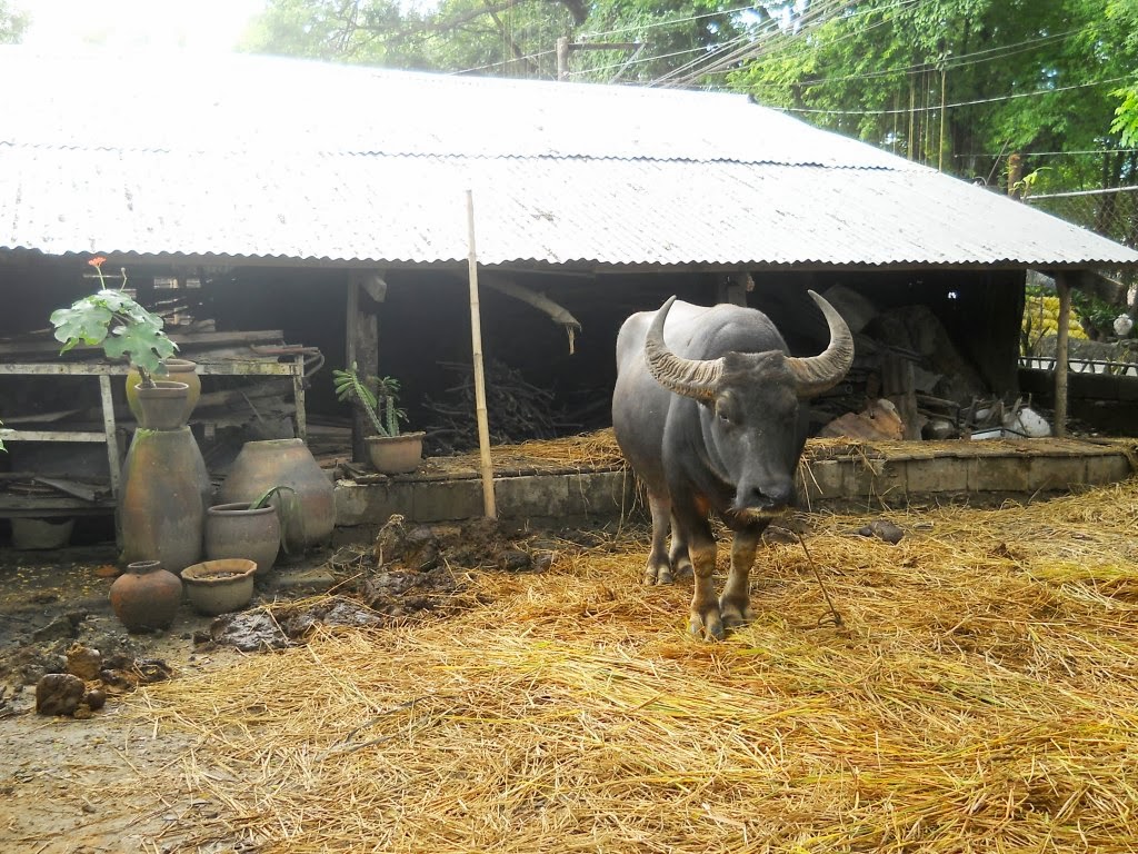 PAGBURNAYAN JAR | Tita Zel