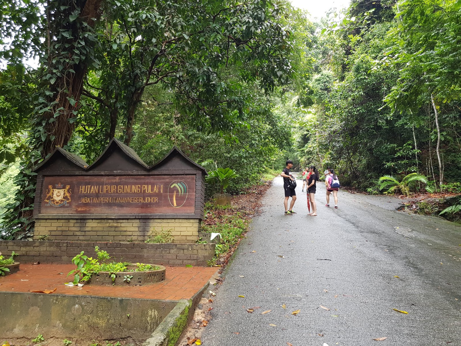 Mount Pulai Day Hike (Jungle Trail No. 2) | Catchingtravels