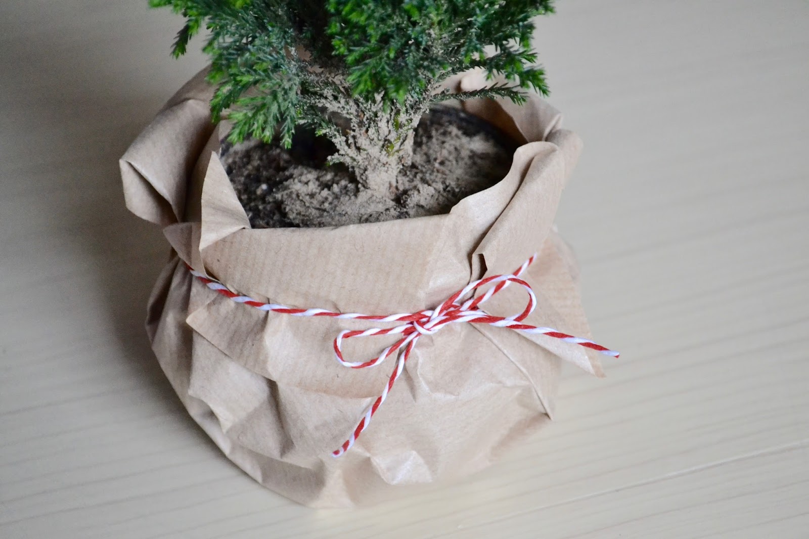 DIY Christmas | Last Minute Plant Gift Wrap Idea | The Things She Makes