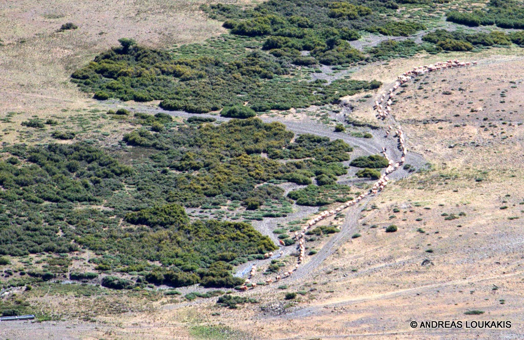 EXPLORE MOUNTAINS: ΣΤΗΝ ΚΟΡΥΦΗ ΤΟΥ ΨΗΛΟΡΕΙΤΗ 2456μ, (ΔΙΑΔΡΟΜΗ ΝΙΔΑ-ΚΟΡΥΦΗ)