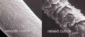 I Am RallyGirl: Grow Natural Hair, Retain Length: 4 Ways to Keep Those ...