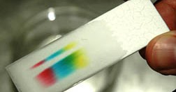 #104 Separating chlorophyll pigments by Thin layer chromatography (TLC ...