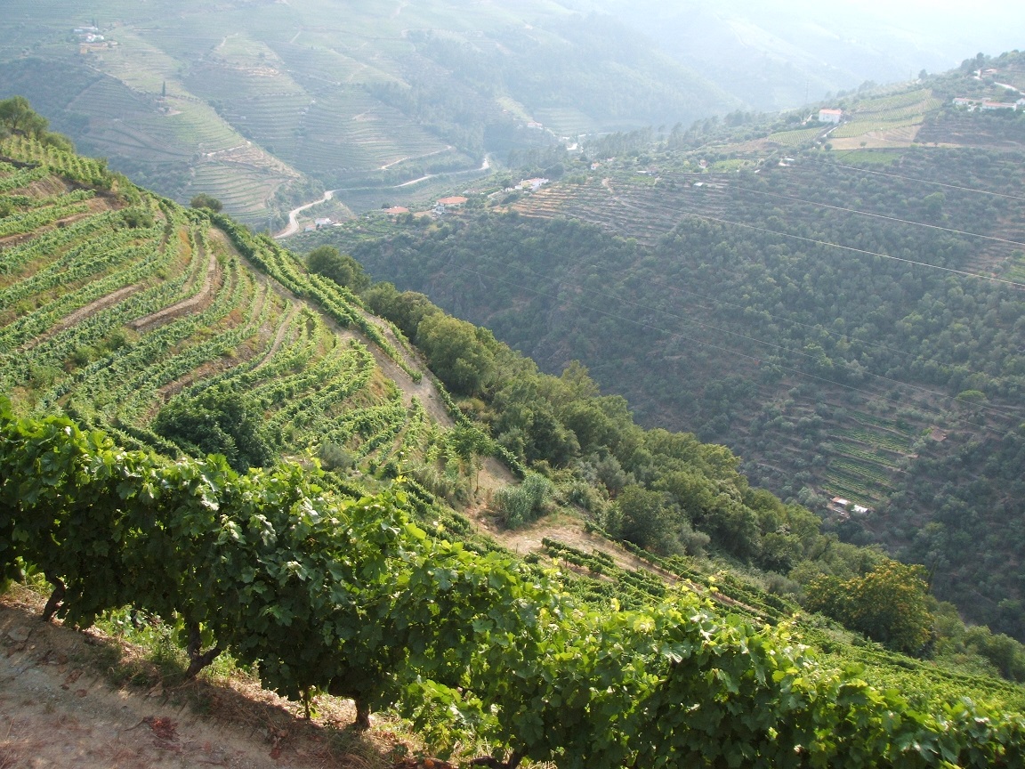 WineWriting.com: Port: Pinhão, Douro Valley