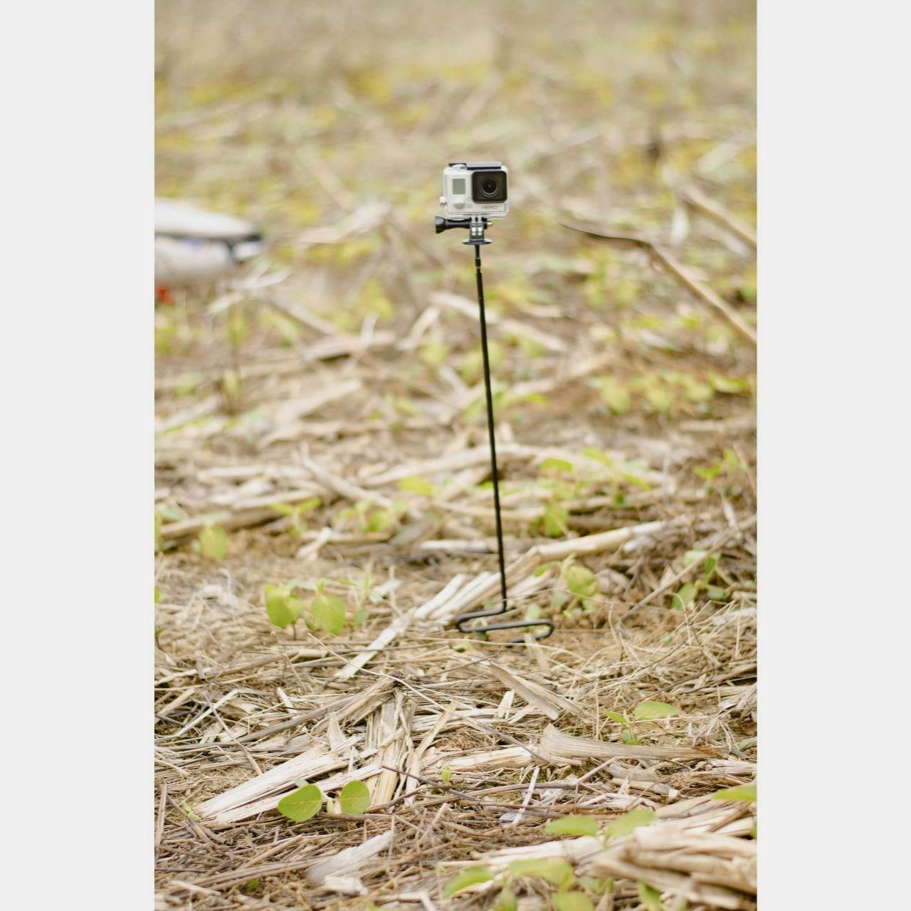 Product Reviews: 2014