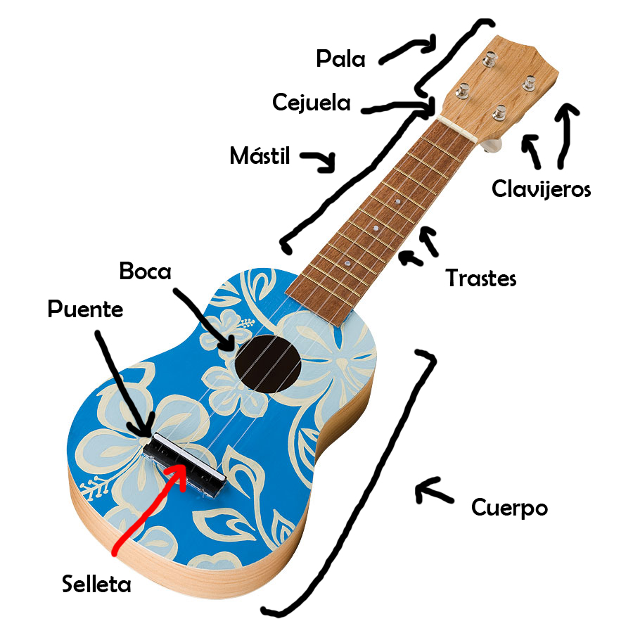 Coses de Neus: Ukelele