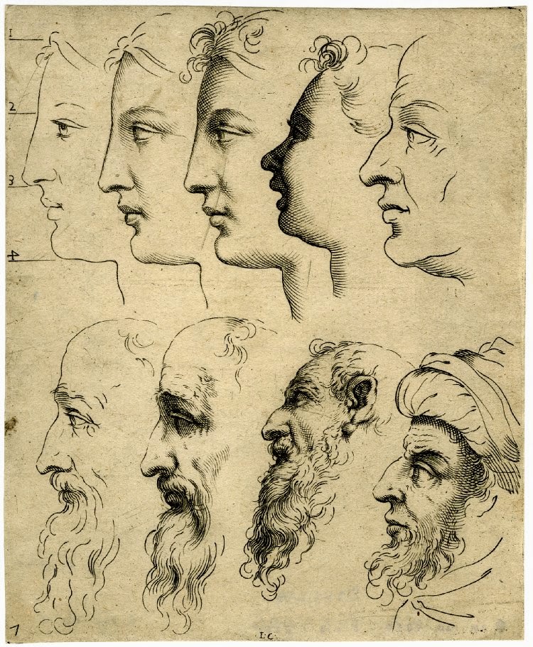 Lala Ragimov Art Blog: Hatching and shading (1400s-1700s)