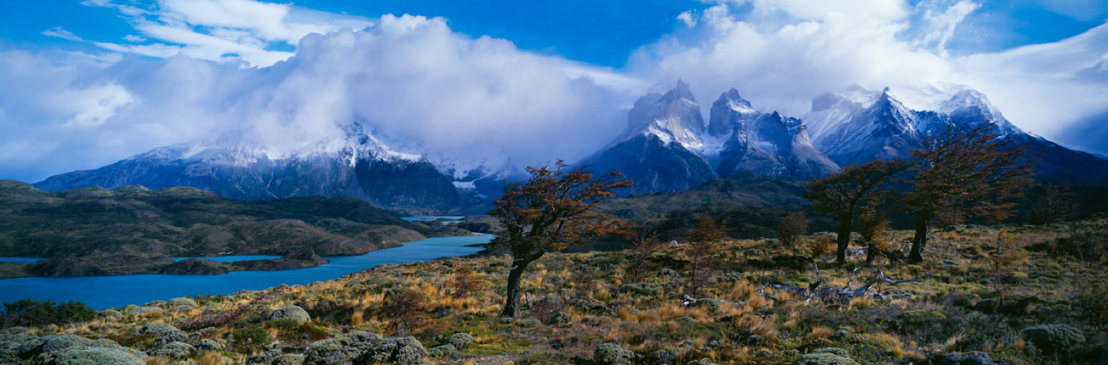 Colin Prior - THE BEST BEACH