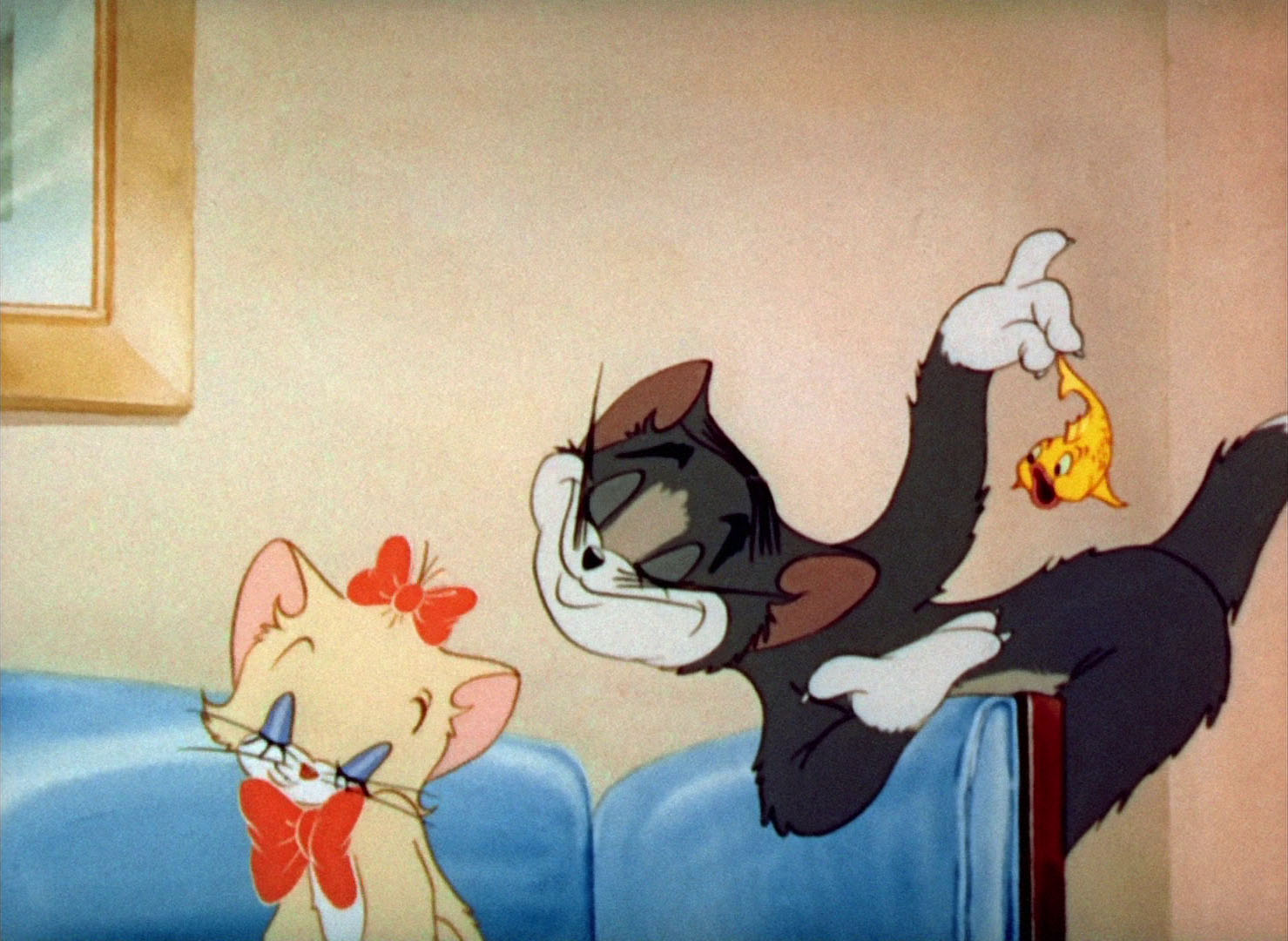 Tom & Jerry Pictures