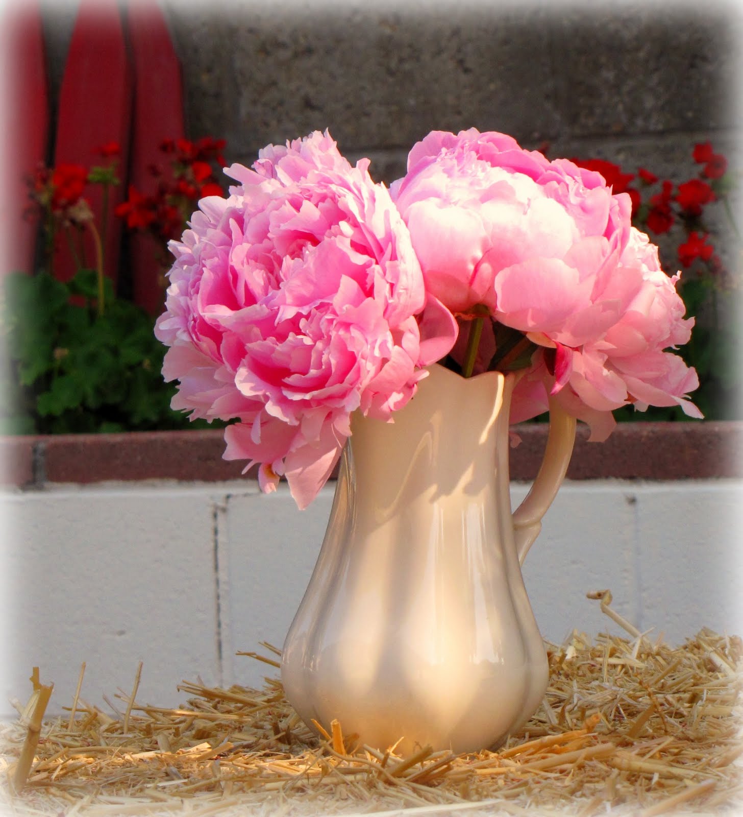 A Fresh New Day: Pretty, Pretty Peonies