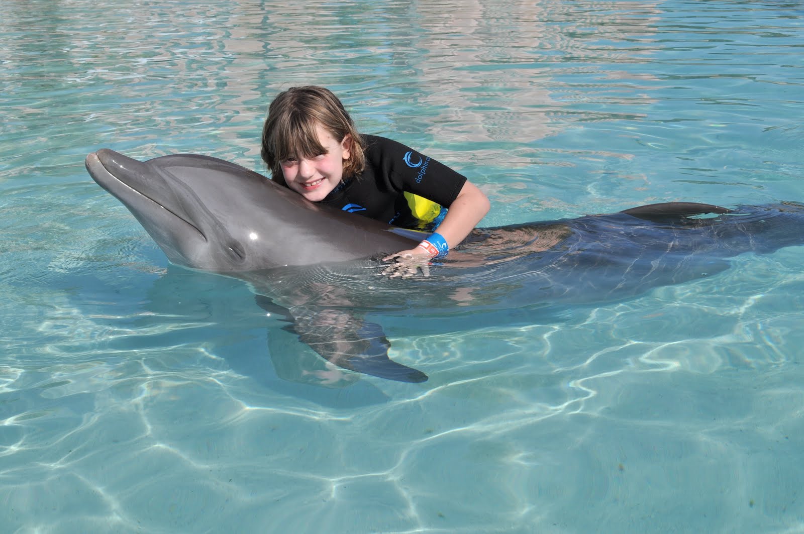 The Baima Family Blog: Swimming with Dolphins